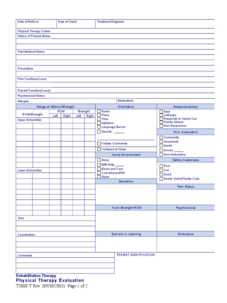 Physical Therapy Evaluation Form | Download Free PDF | Physical Therapy ...