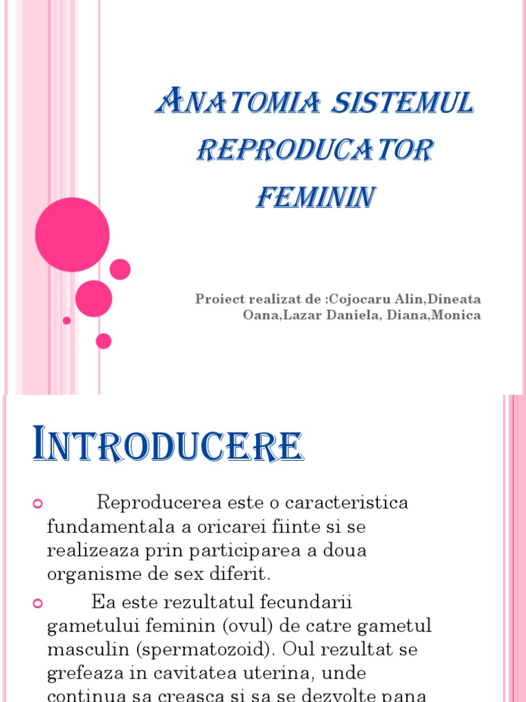 Anatomia Sistemul Reproducator Feminin | PDF