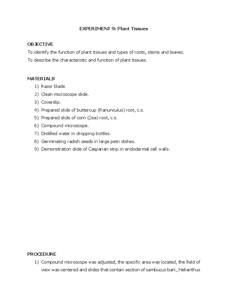 Lab Report Plant Tissues | PDF | Leaf | Plant Stem