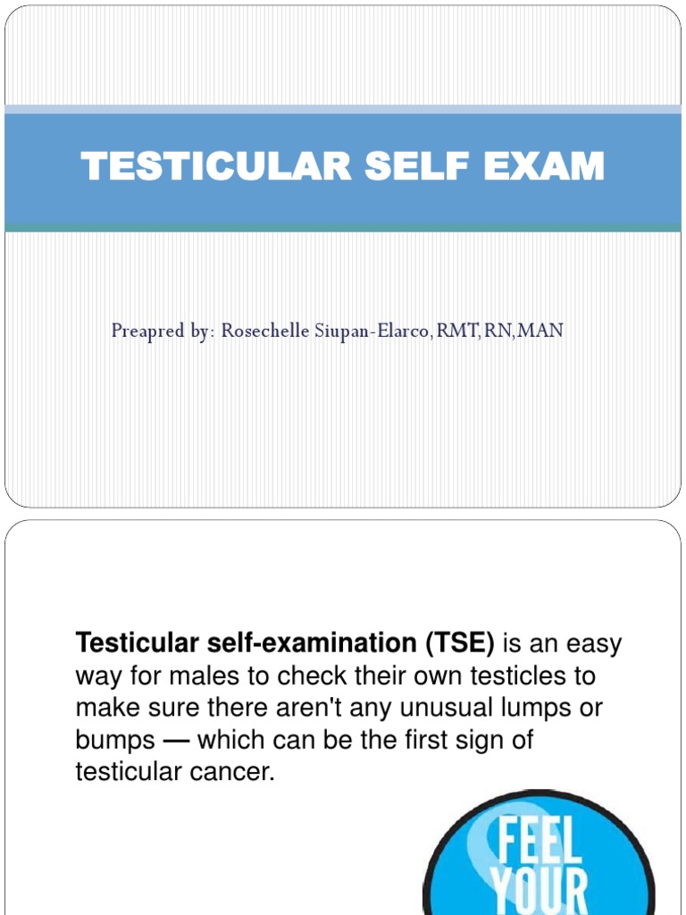 Testicular Self-Examination Guide | PDF