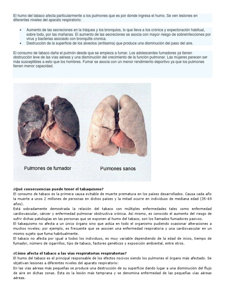 El Humo Del Tabaco Afecta Particularmente a Los Pulmones Que Es Por ...