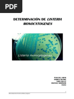 Pruebas Bioquimicas para Enterobacterias | PDF | Química | Las bacterias