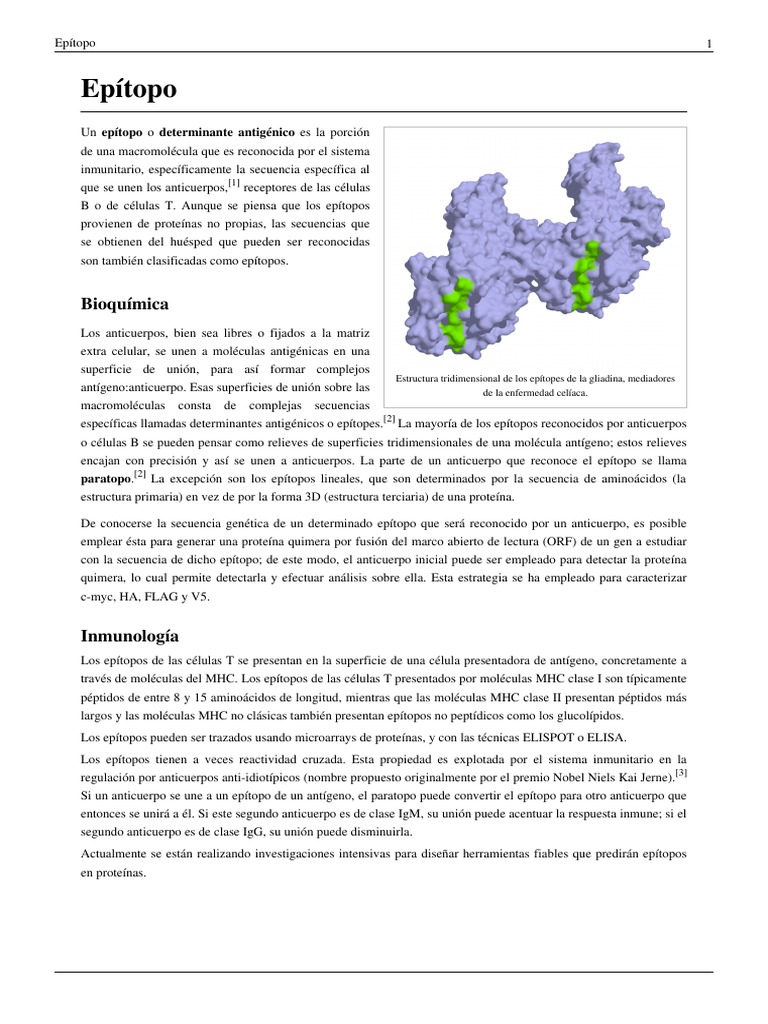 Epi Topo | PDF | Epítopo | Anatomía