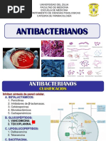 Bactericidas y Bacteriostáticos | PDF | Las bacterias | Antibióticos