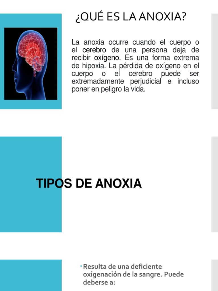 Tipos de Anoxia | PDF