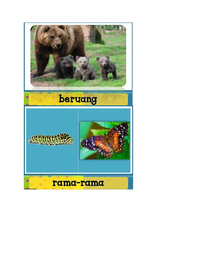 Haiwan Serupa Dan Tidak Serupa Induknya | PDF