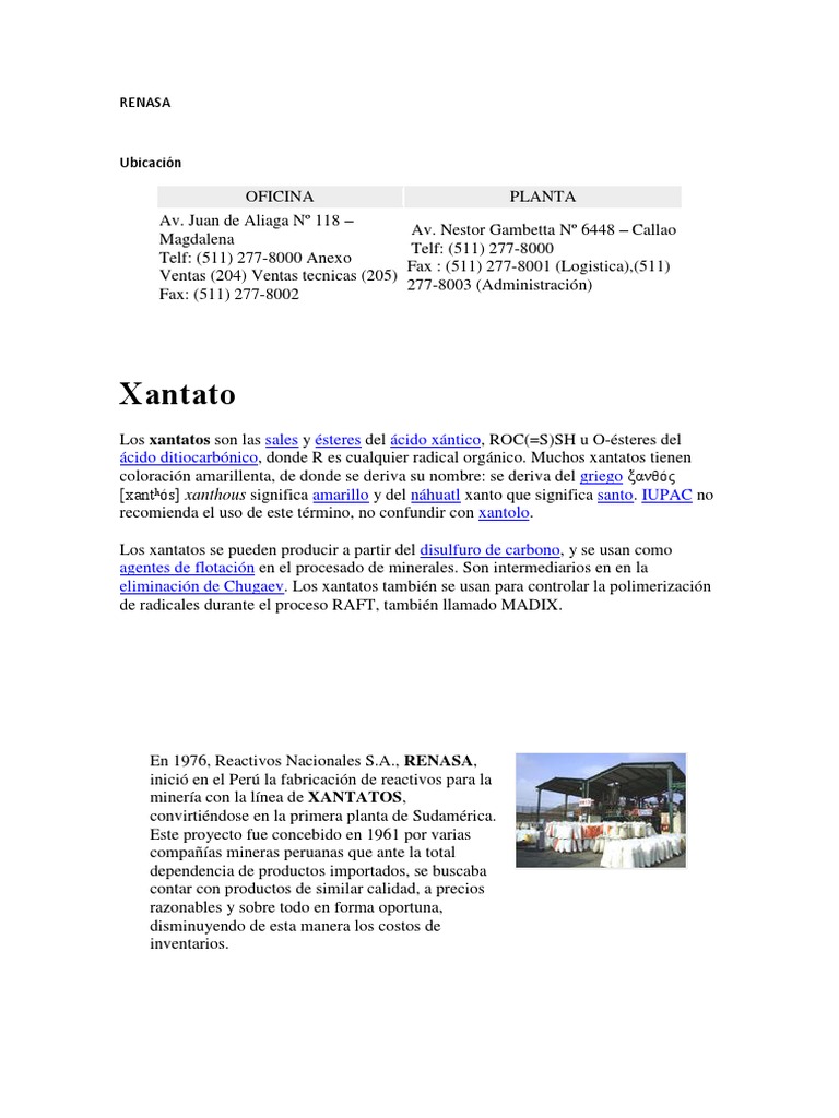 Renasa | PDF | Dirigir | Zinc