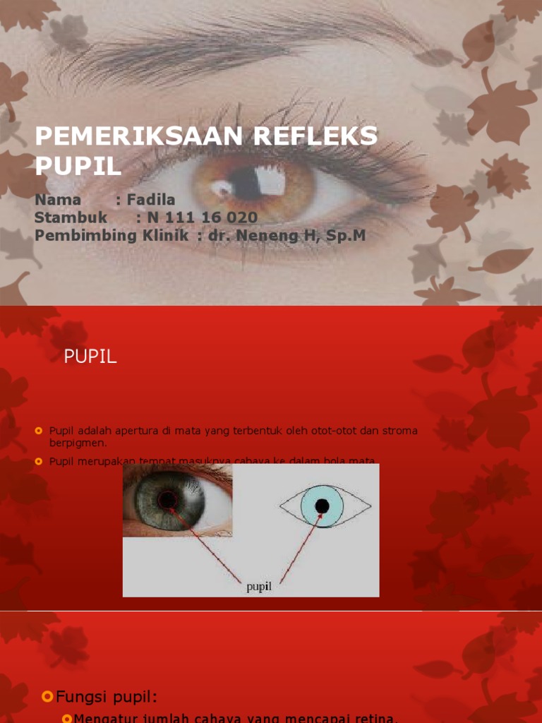 Pemeriksaan Pupil | PDF
