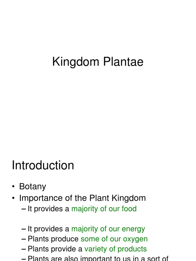 Kingdom Plantae | PDF | Fern | Leaf