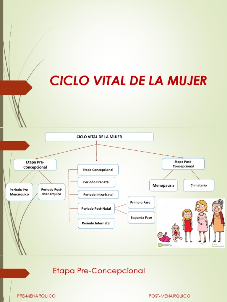 CICLO VITAL DE LA MUJER.pptx