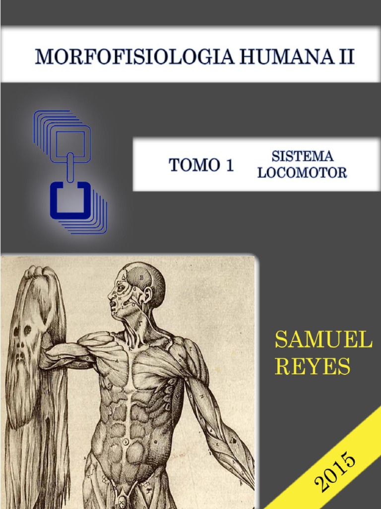 Guia UNIDAD I (Locomotor) Morfofisiologia II - UNEFM de Samuel Reyes | PDF | Articulación | La ...