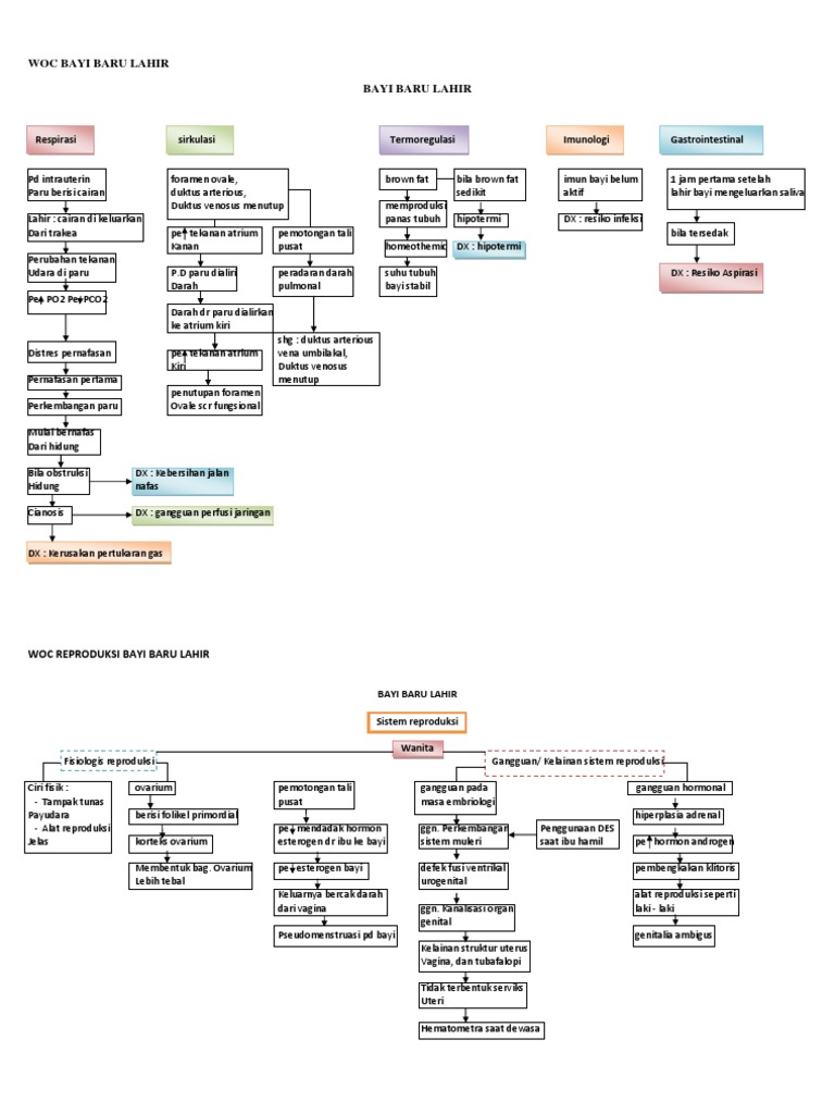 Woc Bayi Baru Lahir | PDF