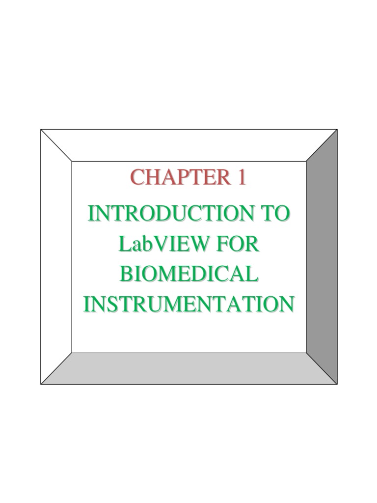 09 Chapter 1 | PDF | Computer Program | Programming