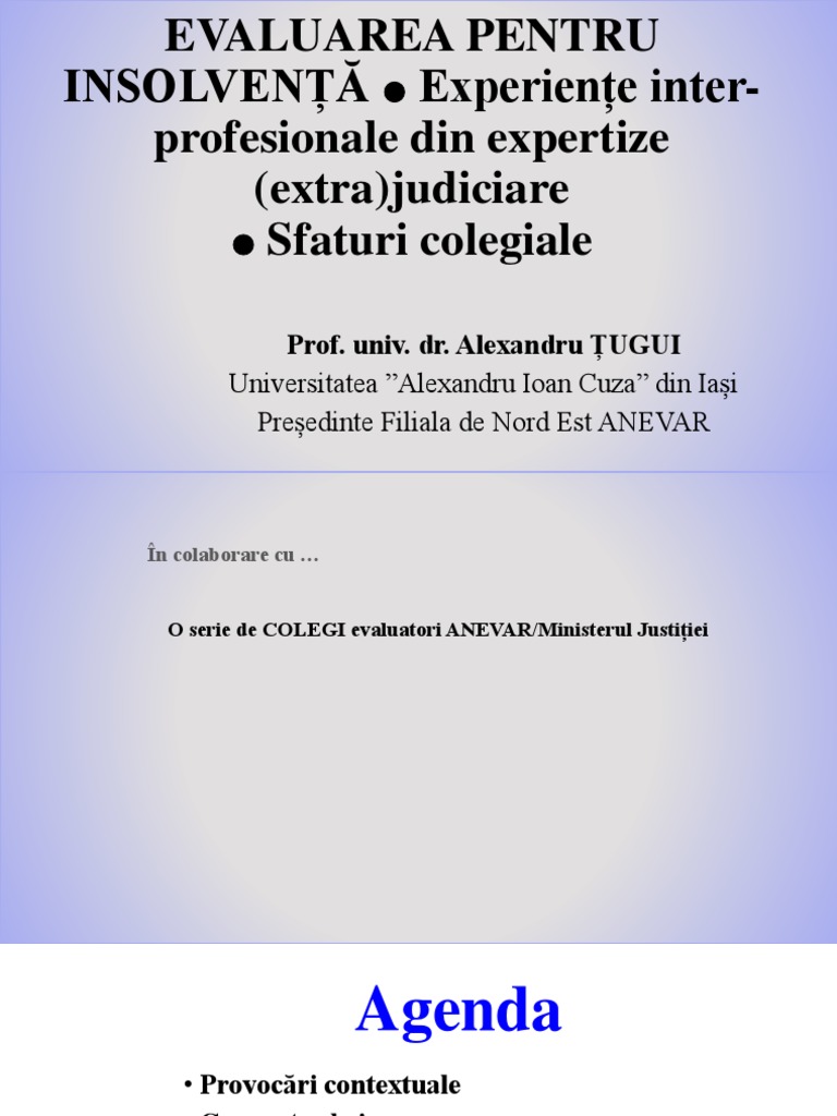 Alexandru Tugui P | PDF
