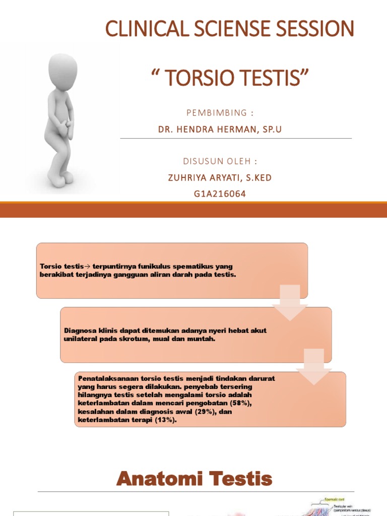 Tortio Testis | PDF