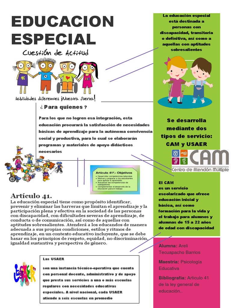 Infograma de Educacion Especial | PDF | Educación especial | Invalidez