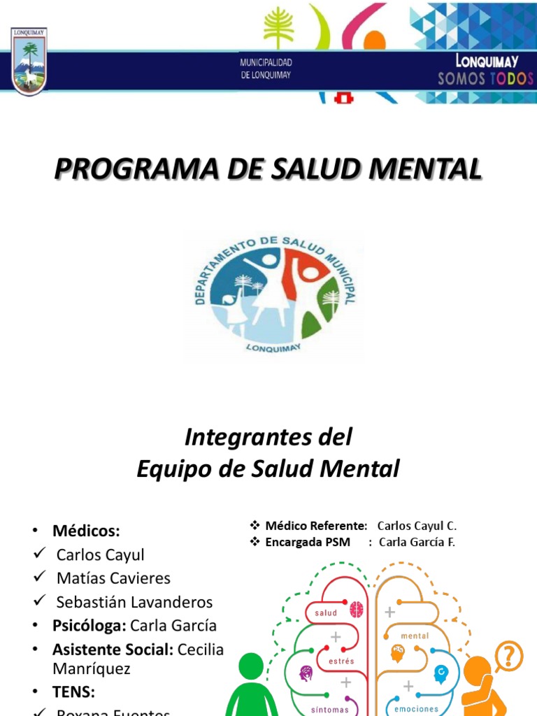 Programa de Salud Mental | PDF