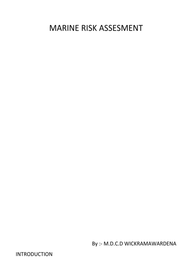 Marine Risk Assesment | Download Free PDF | Risk Assessment | Risk