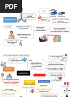 Protocolo Reabilitacao LCA Traduzido | PDF