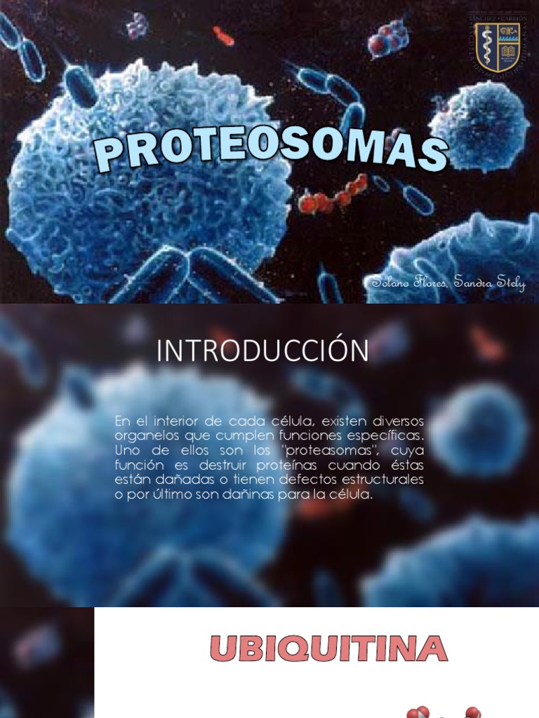 Proteosomas