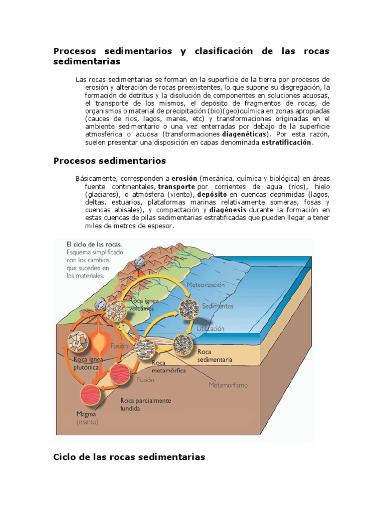 Clasificación y procesos de rocas sedimentarias | PDF | Roca clástica ...
