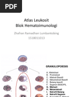 Kristal Amorf dalam Urin dan Penyebabnya | PDF