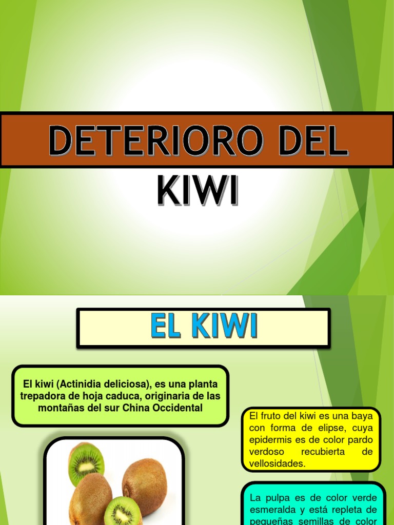 Kiwi | PDF | Descomposición | Alimentos