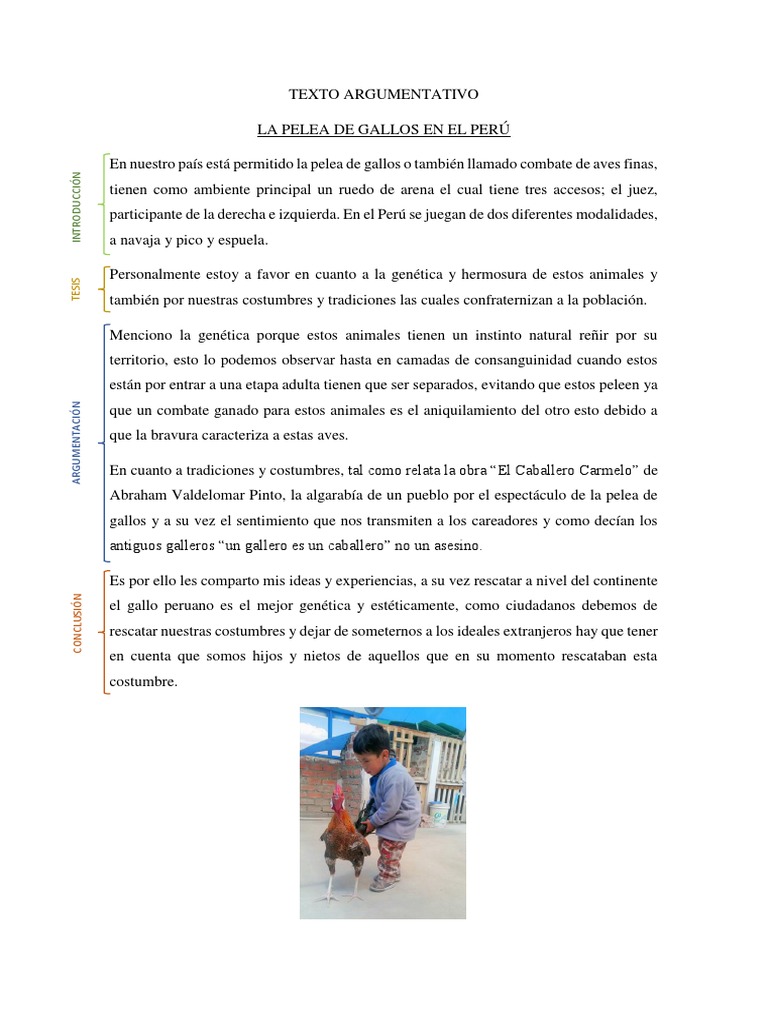 Texto Argumentativo A Favor de La Pelea de Gallos | PDF | Deportes y ...