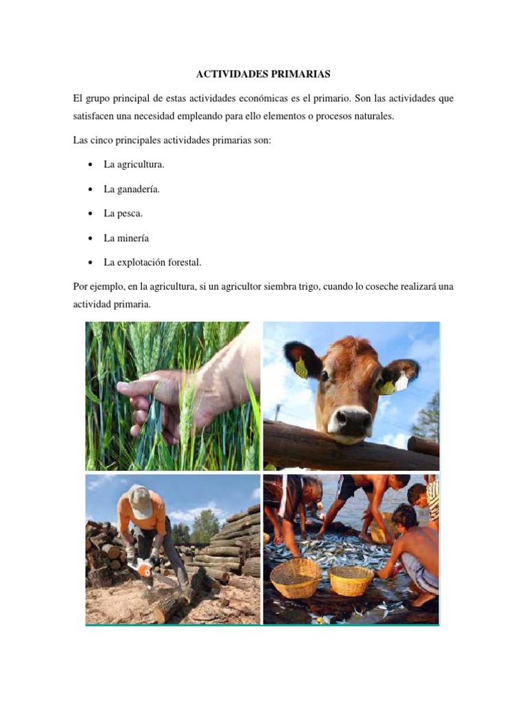 Definicion Act. Prim. | PDF