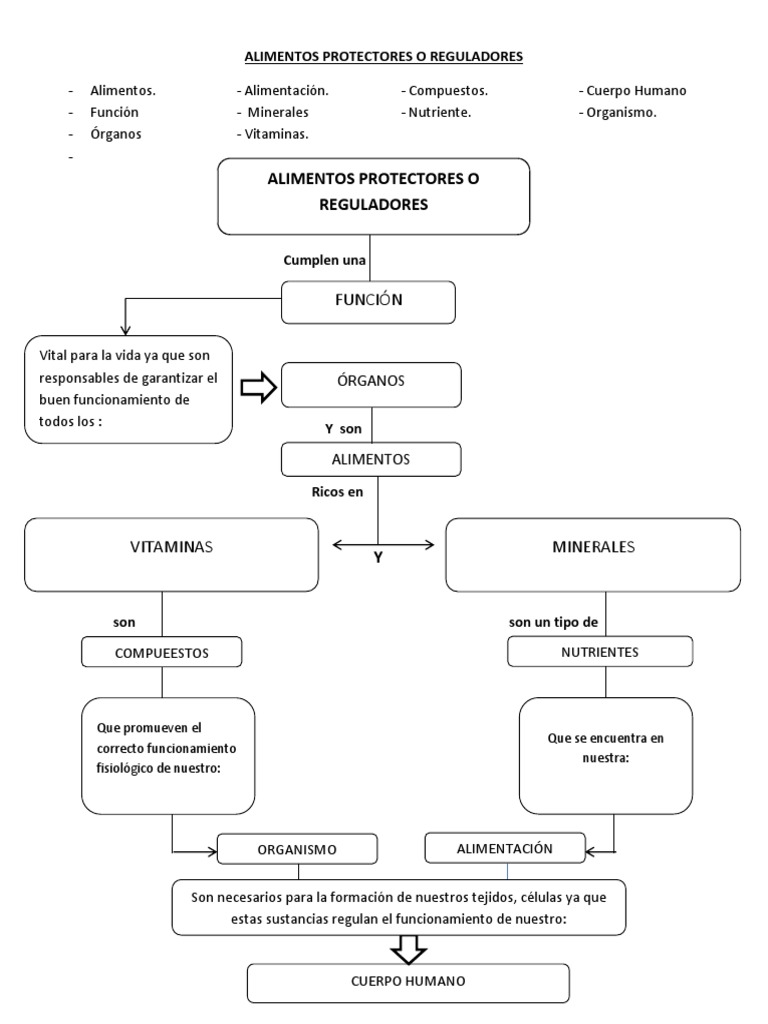 Alimentos Protectores o Reguladores | PDF | Nutrientes | Cuerpo humano