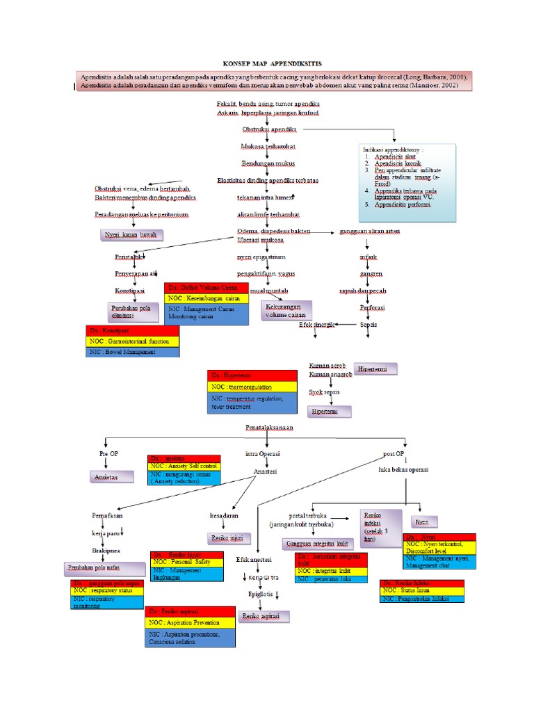 Konsep Map Apendiksitis | PDF | Seni | Sains & Matematika