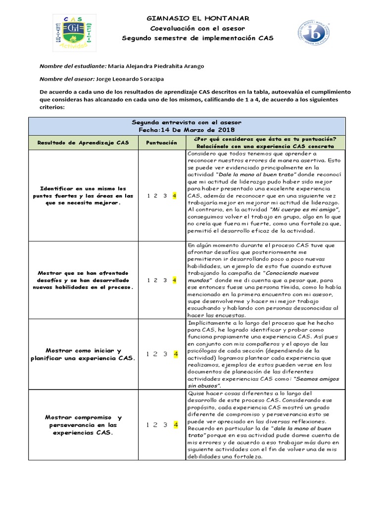 Segunda Entrevista Con El Asesor. Retroalimentación | PDF | Toma de decisiones | Creatividad
