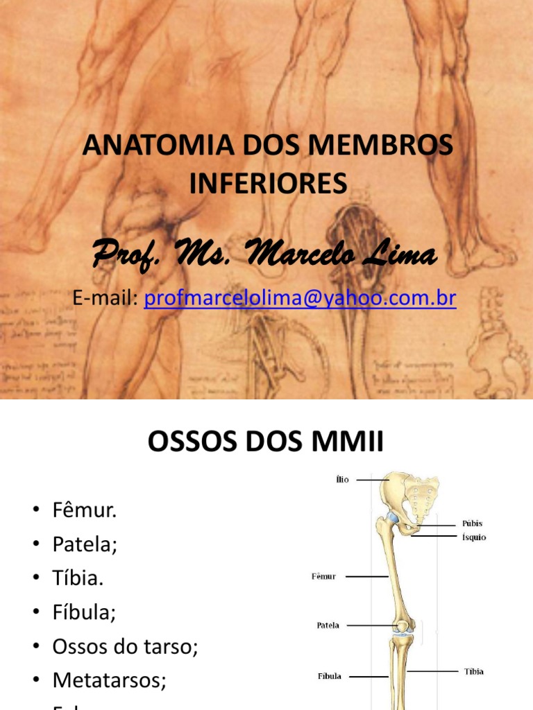1. Aula de Anatomia Dos Membros Inferiores.2016.1 | Joelho | Pé