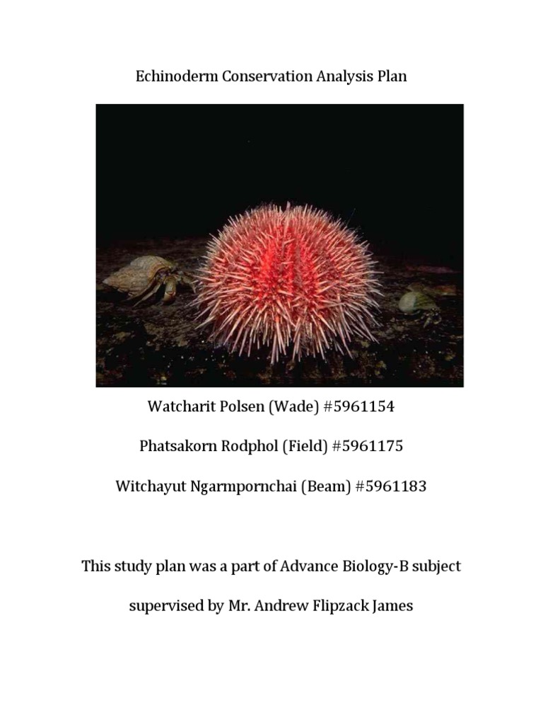 Echinoderm Conservation | PDF | Sea | Europe Travel