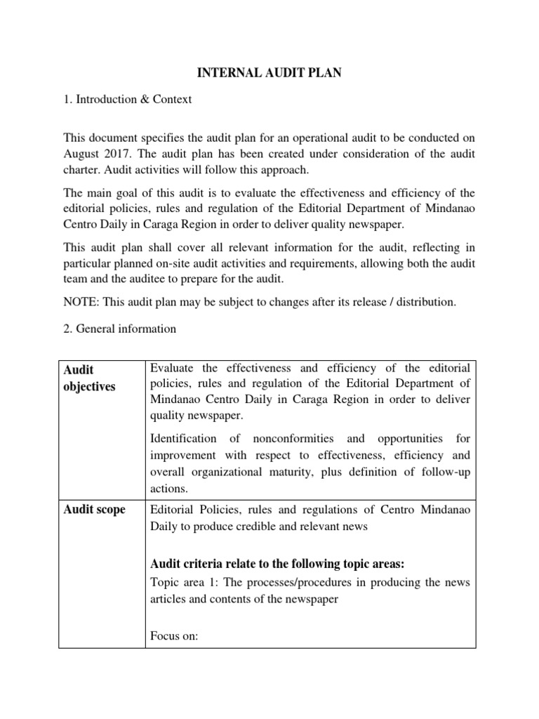 Audit Plan | PDF | Audit | Policy