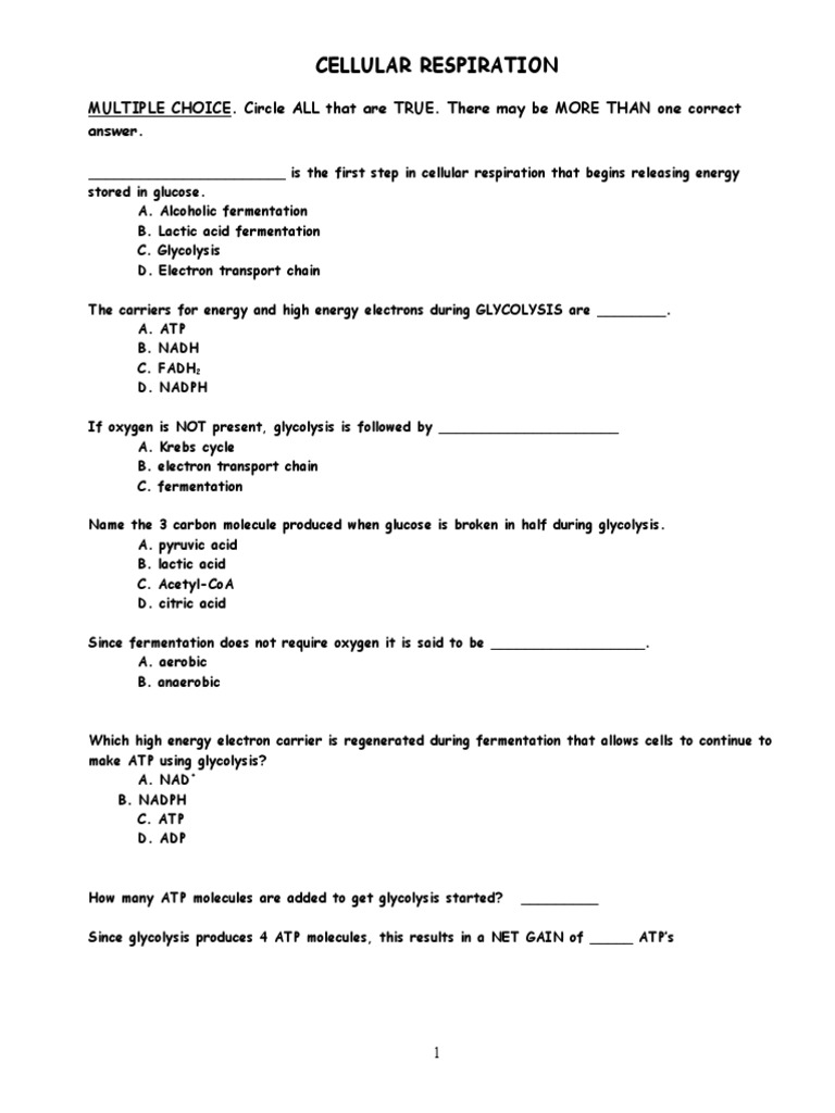 Cellular Respiration Practice Questions | PDF | Cellular Respiration ...
