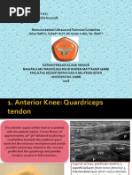 TIRADS Classification and Scoring Guide | PDF