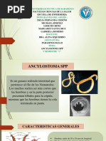 Signo de Rove | PDF