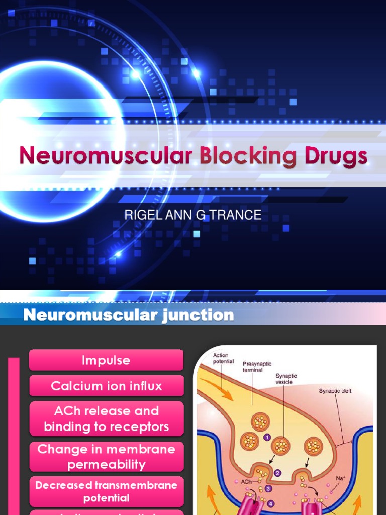 Neuromuscular Blocking Drugs | PDF | Acetylcholine | Neuromuscular Junction