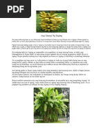 Ang Alamat NG Saging | PDF