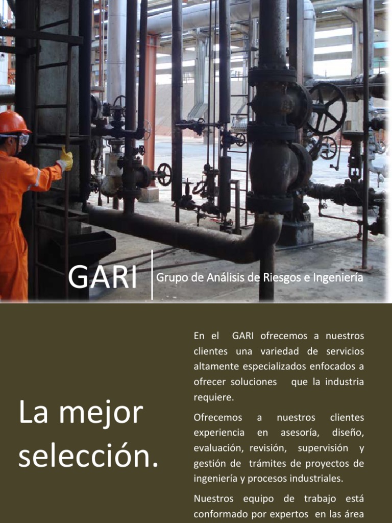 Gari | PDF | Business | Science