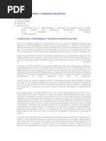 Plantilla Modelo Ecol Gico de Bronfenbrenner | PDF