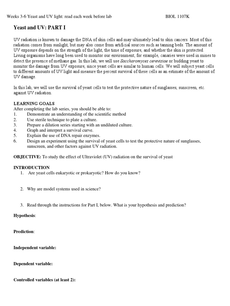 Week 3-6 Effect of UV On Yeast S18 | PDF | Ultraviolet | Experiment