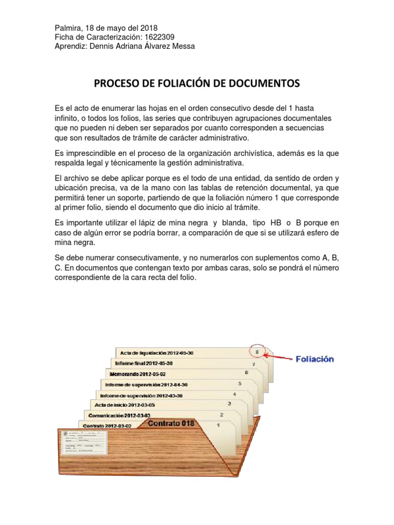 Proceso de Foliación de Documentos | PDF