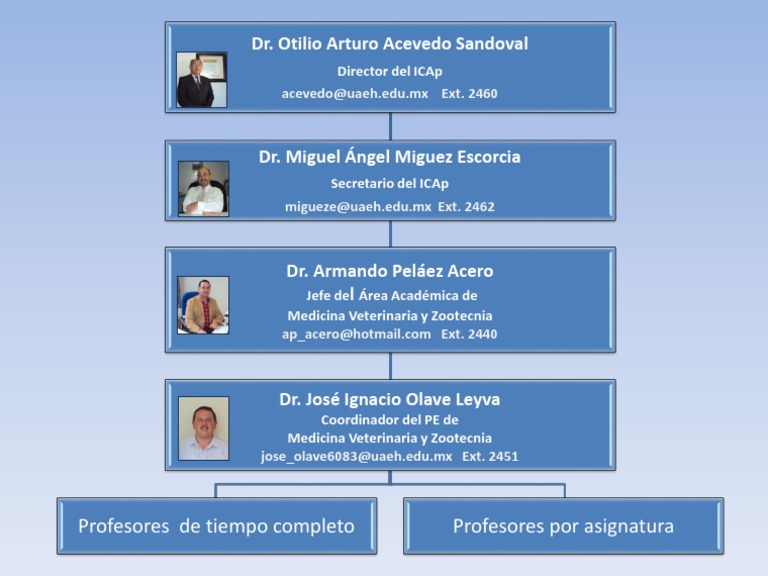 Organigrama Veterinaria | PDF