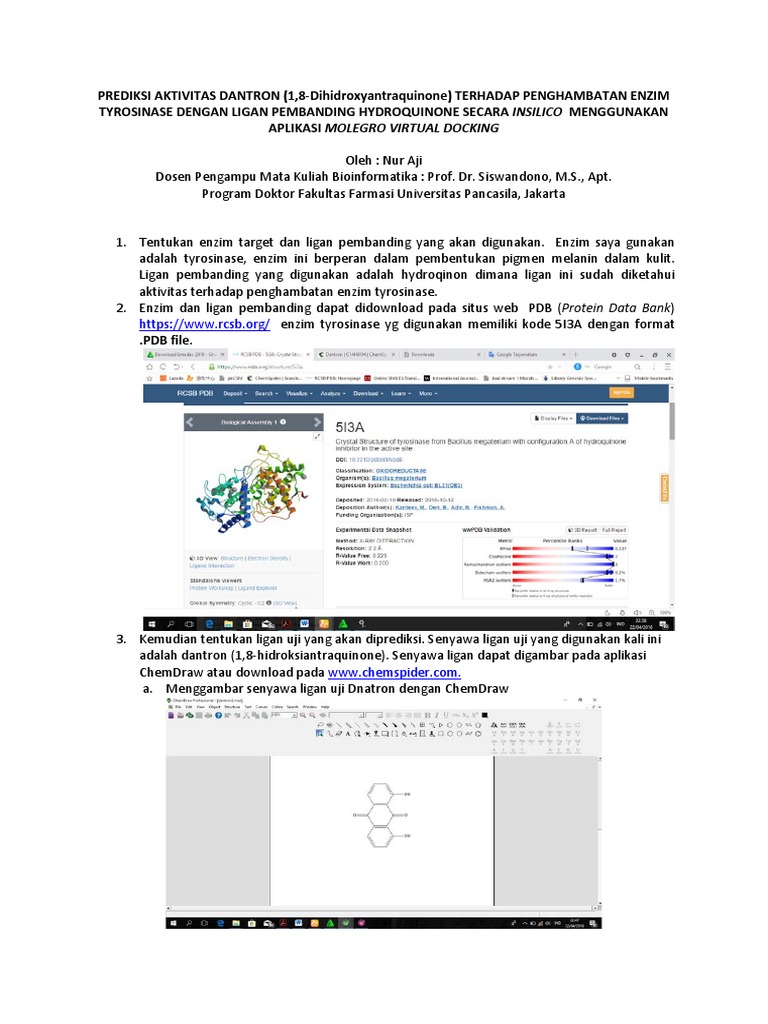 Docking Dantron Menggunakan Molegro | PDF