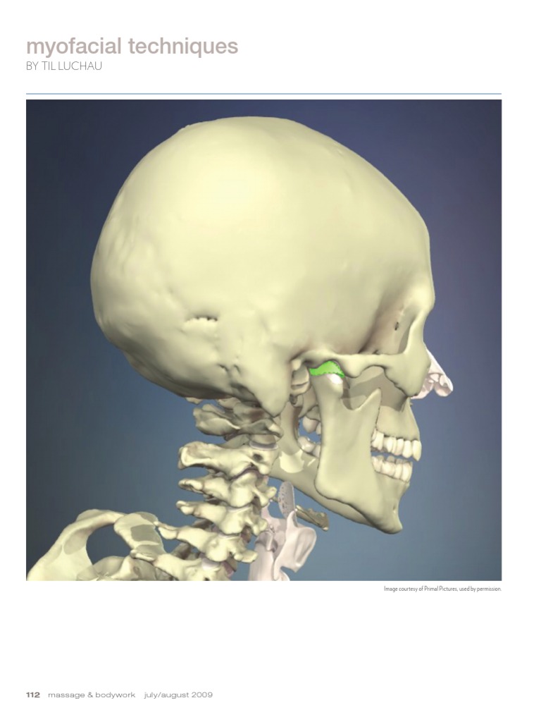 Working With The TMJ, Part I (Myofascial Techniques) | PDF ...