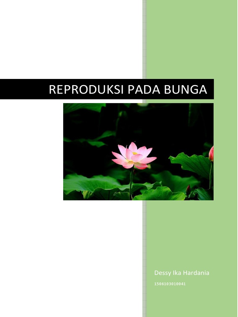 Reproduksi Pada Bunga | PDF