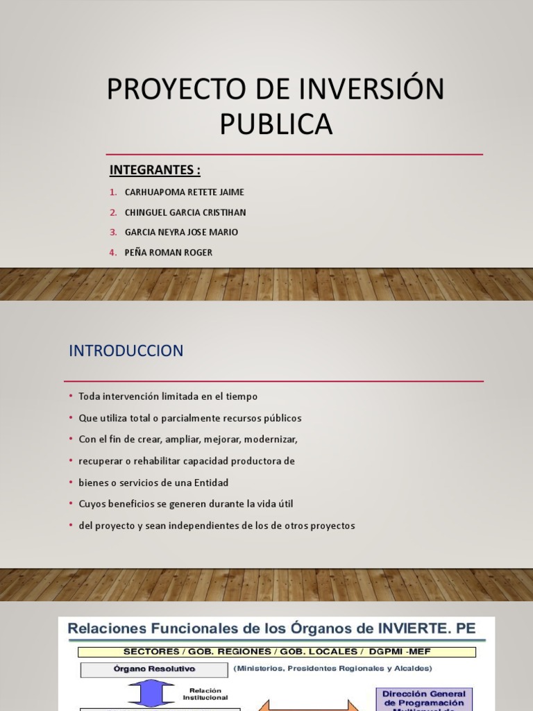 Proyecto de Inversión Cris | PDF | Perú | Inversiones
