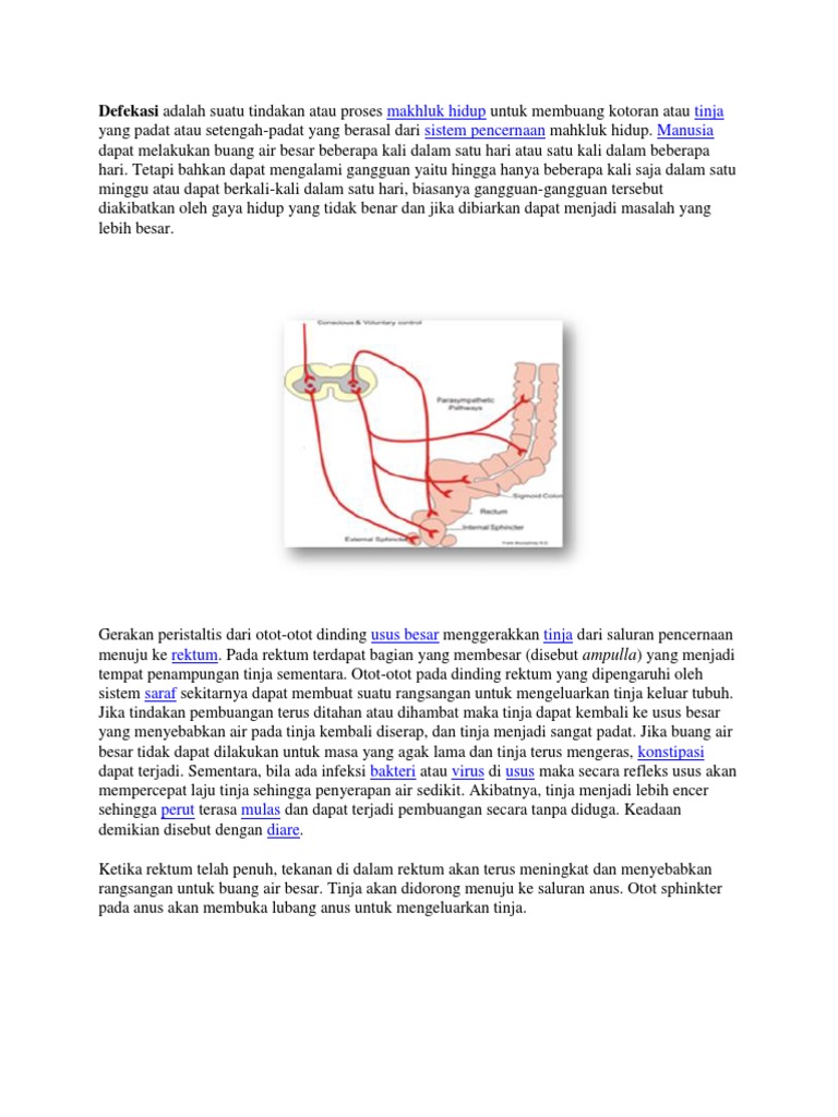 Defekasi Adalah Suatu Tindakan Atau Proses Makhluk Hidup Untuk Membuang ...